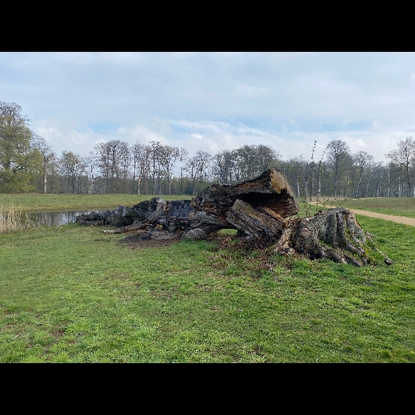 The May 50K - Lis Wulff