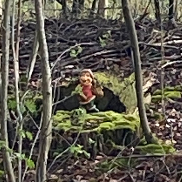 The May 50K - Lis Wulff