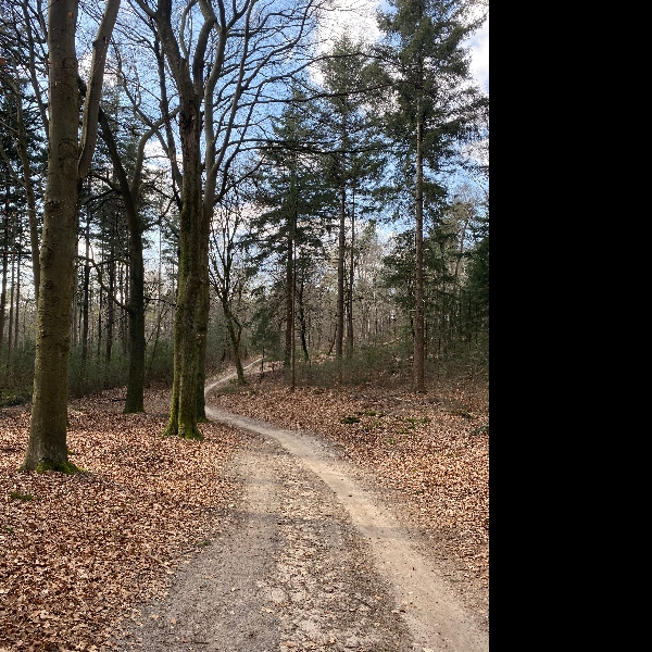 The May 50K - Lis Wulff